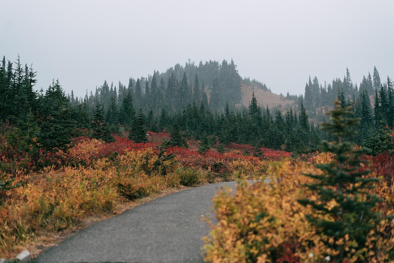 SummerCamp Home With Creek - Cabin for Rent in Ashford, Mount Rainier, WA, US | Riparide