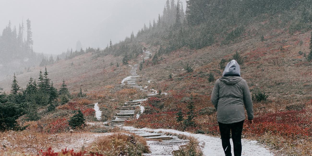 SummerCamp Home With Creek - Cabin for Rent in Ashford, Mount Rainier, WA, US | Riparide