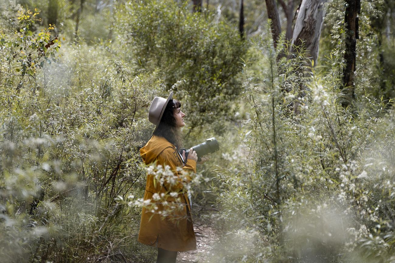 Bushwalking at Bungonia National Park | Riparide