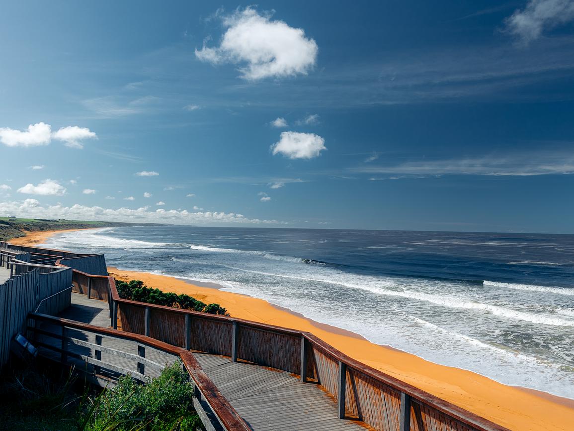 Look for Whales at Logans Beach Whale Nursery | Riparide