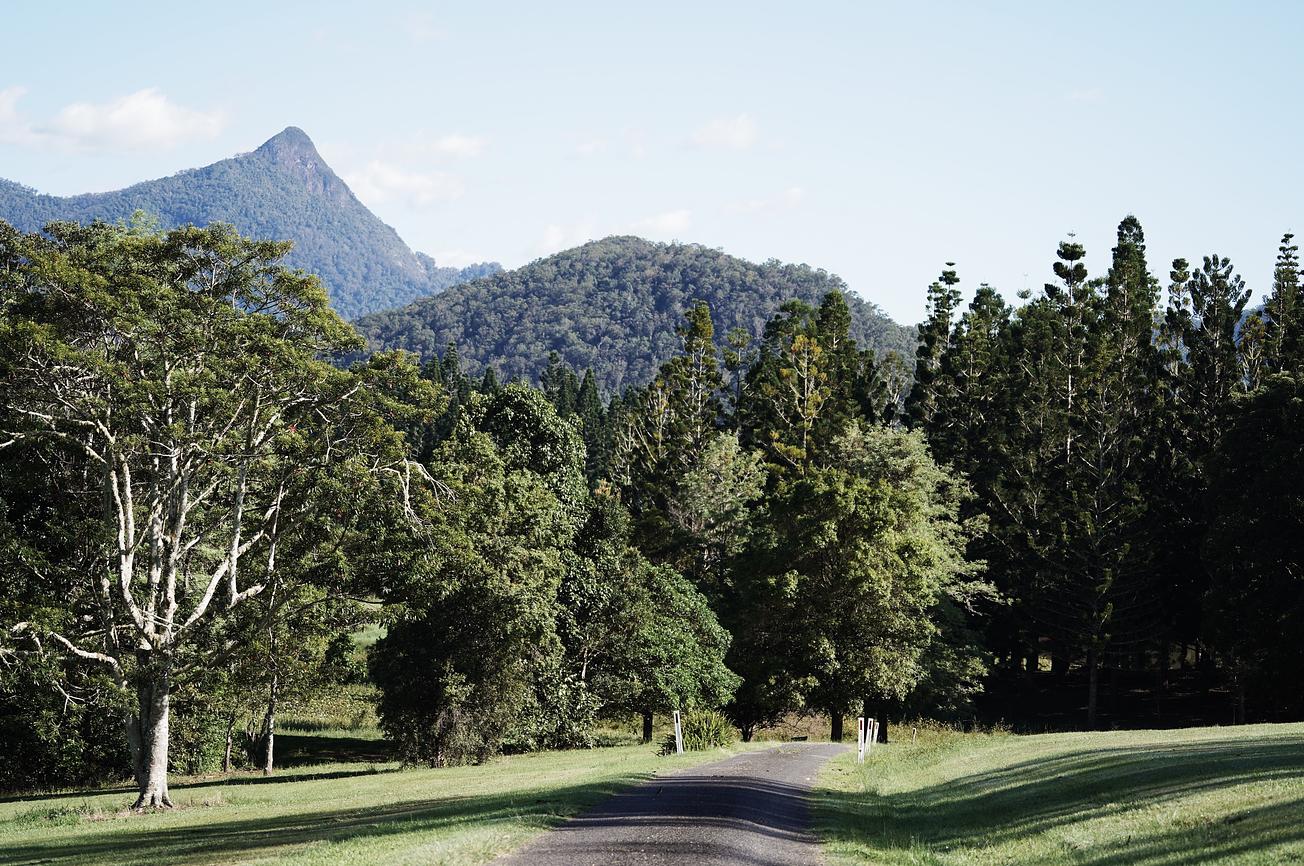 Crams Farm Reserve | Riparide