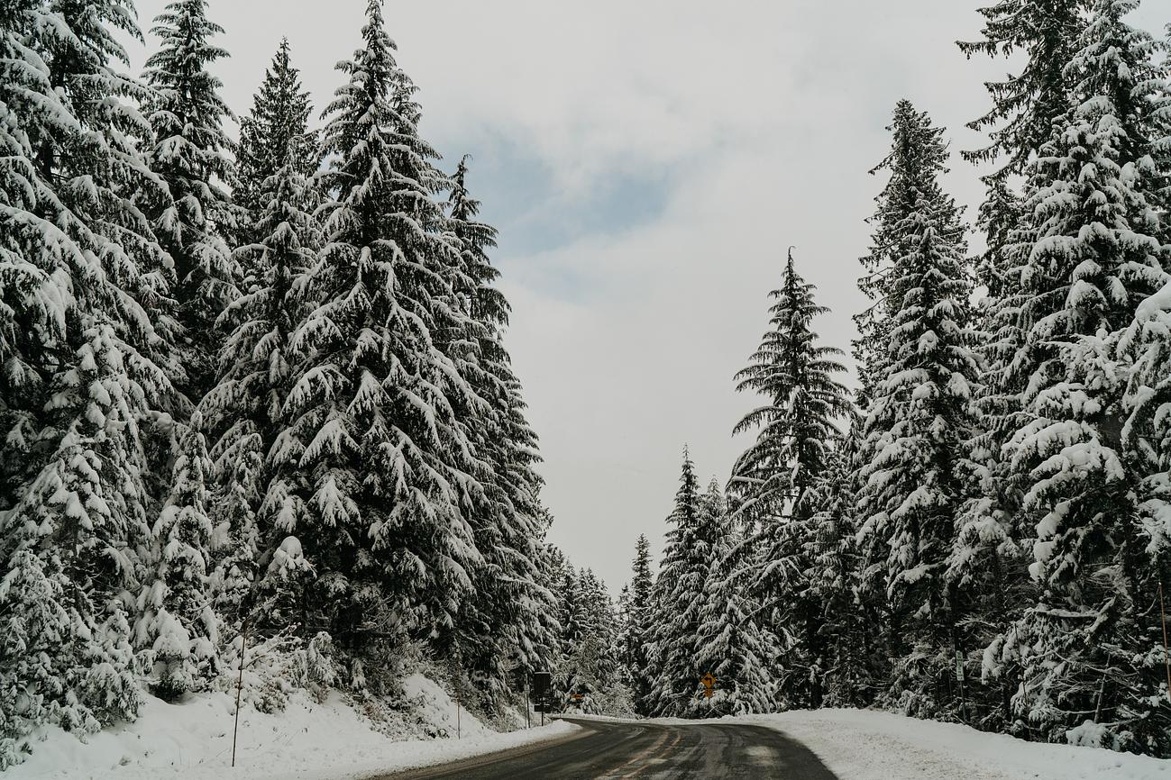 Cozy Snowy Escape to Snowline - Adventure by Ashton in Deming, North ...