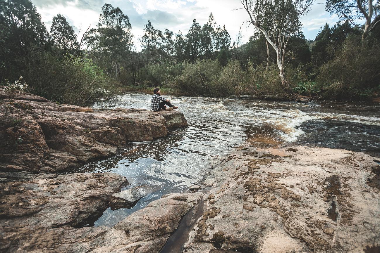 Reedy Creek | Riparide