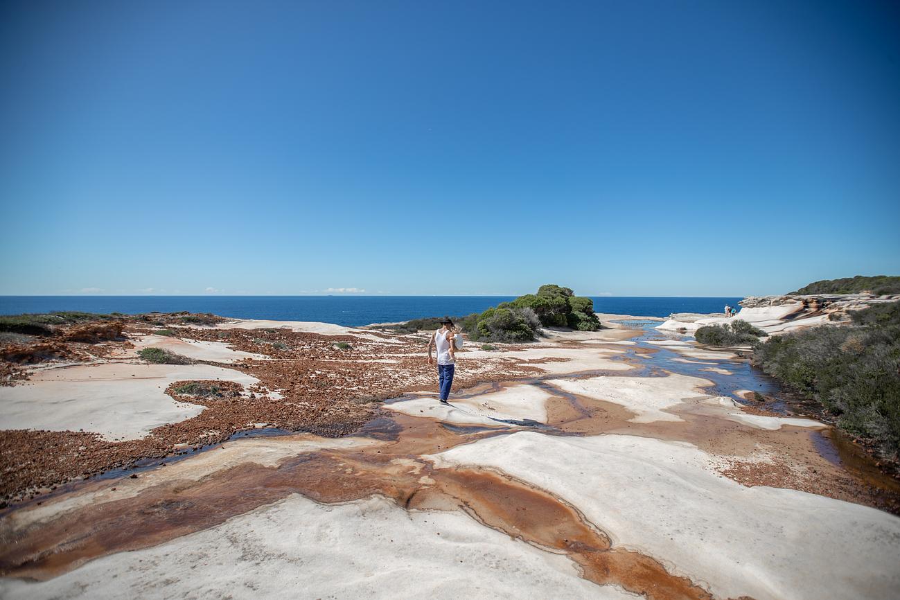 Bundeena Lookout and Jibbons Head Circuit Track | Riparide