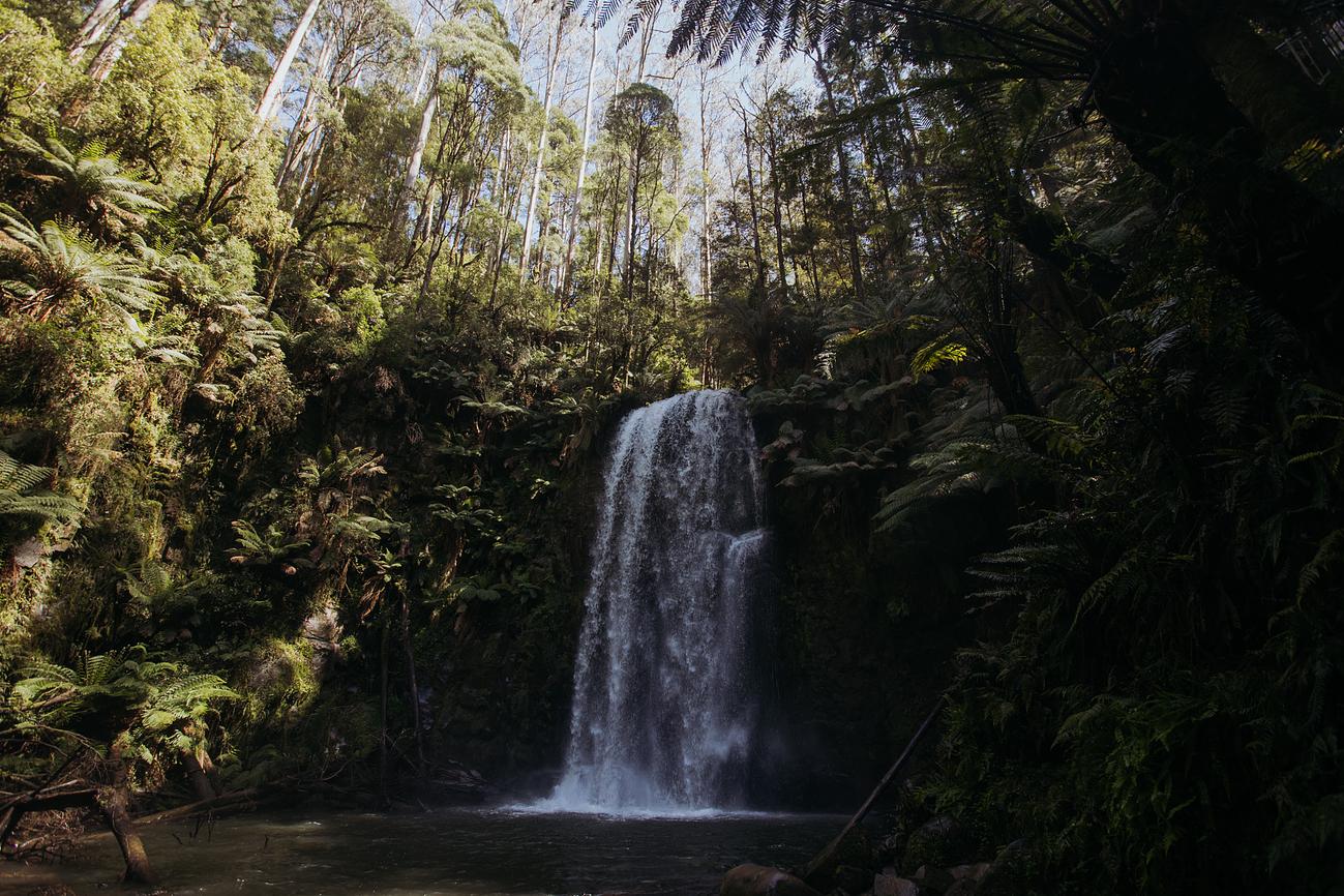 Explore the Falls of Beech Forest | Riparide