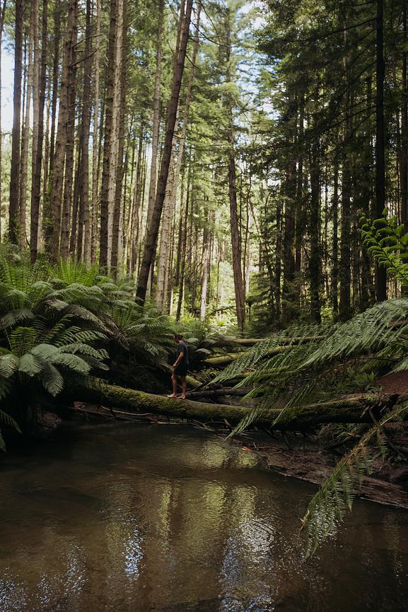 Paradise on the Great Ocean Road - Adventure by Brandon in Skenes Creek, Great Ocean Road, VIC ...