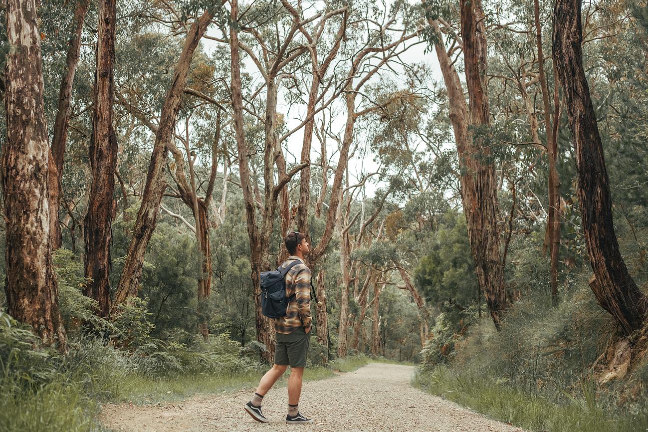 Lookout Circuit Walk | Riparide