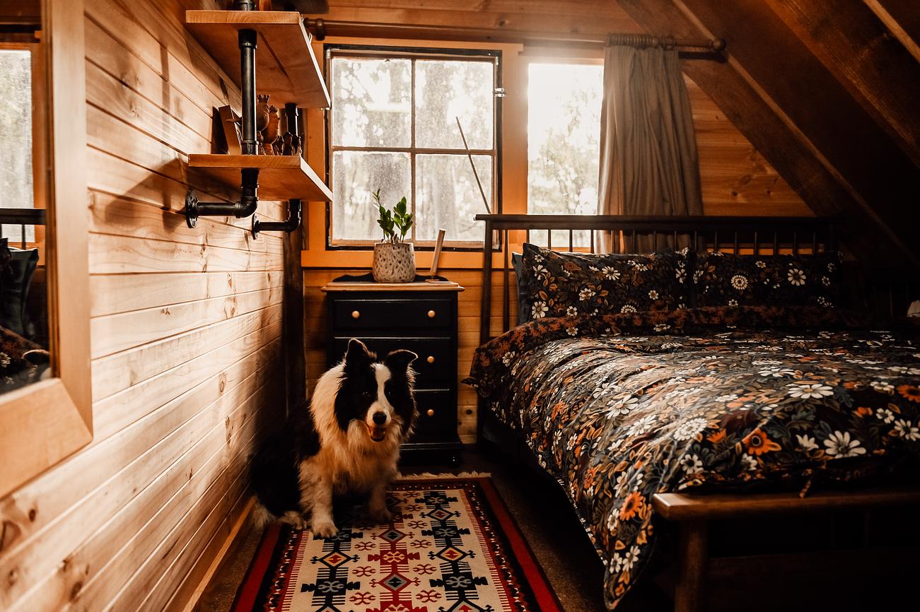 Timber Top Lodge - unwind in a forest retreat - Cabin for Rent in ...