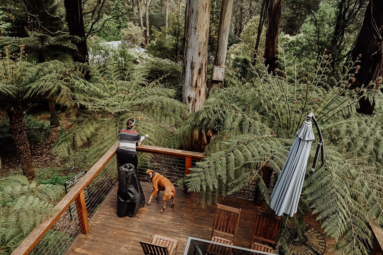 Timber Top Lodge - unwind in a forest retreat - Cabin for Rent in Tanjil Bren, Gippsland, VIC ...