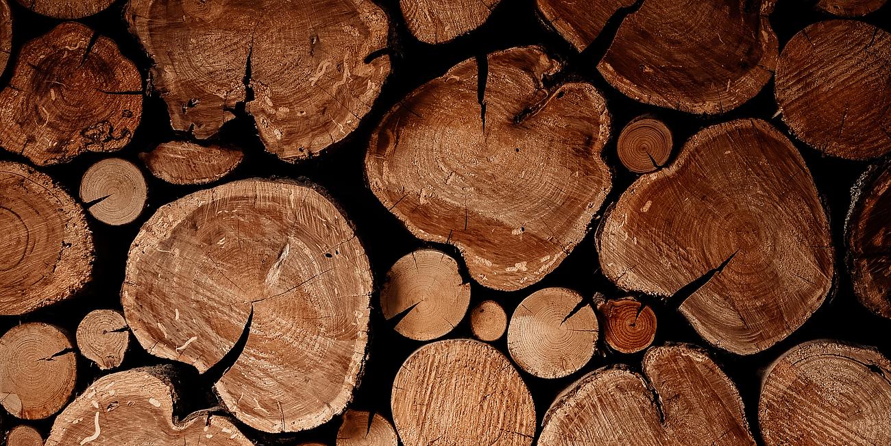 A Hygge Little Hideaway - Adventure by Saskia in Tanjil Bren, Gippsland, VIC, AU | Riparide