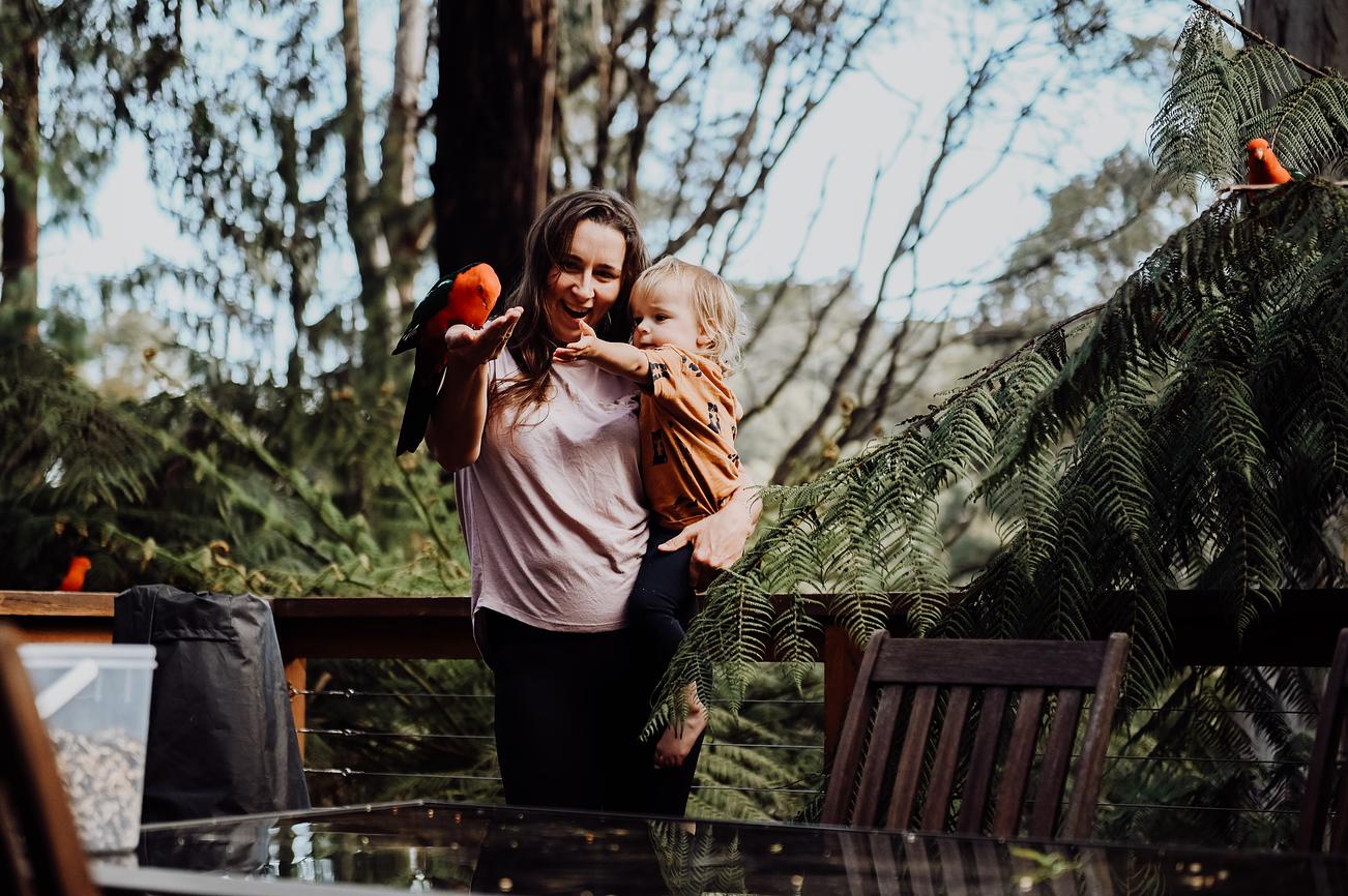 A Hygge Little Hideaway - Adventure by Saskia in Tanjil Bren, Gippsland ...