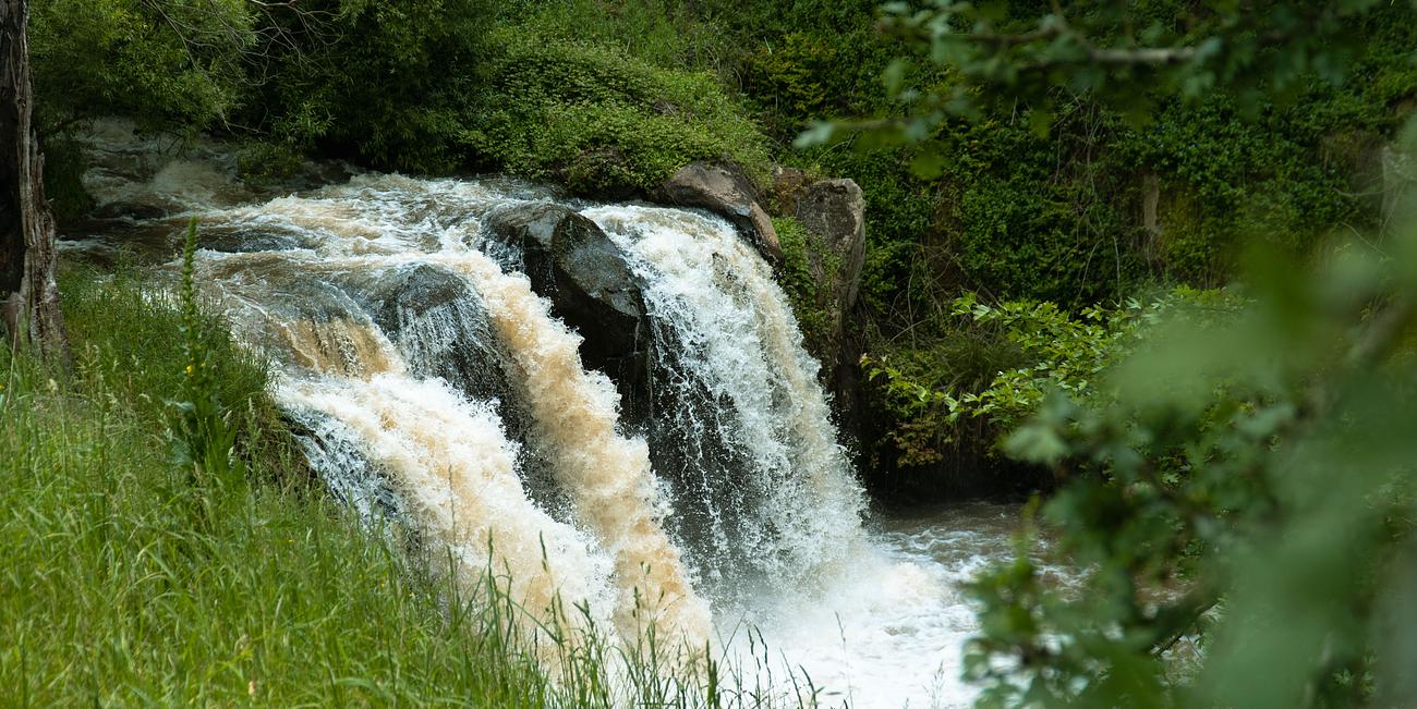 A peaceful getaway in the heart of West Gippsland - Adventure by ...