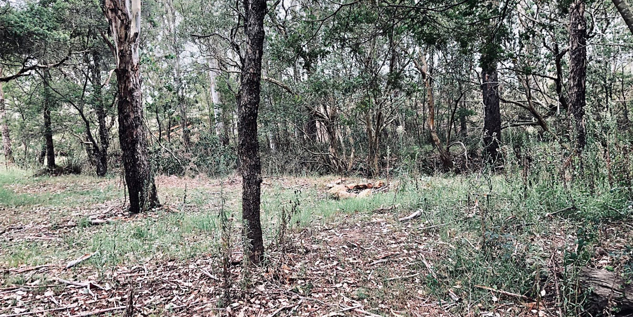 Camping at Mulla Villa Farm - creek - Camping for Rent in Wollombi ...