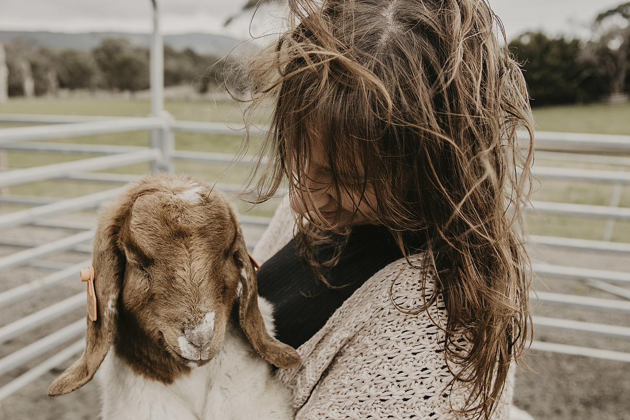 Meet the Goats | Riparide