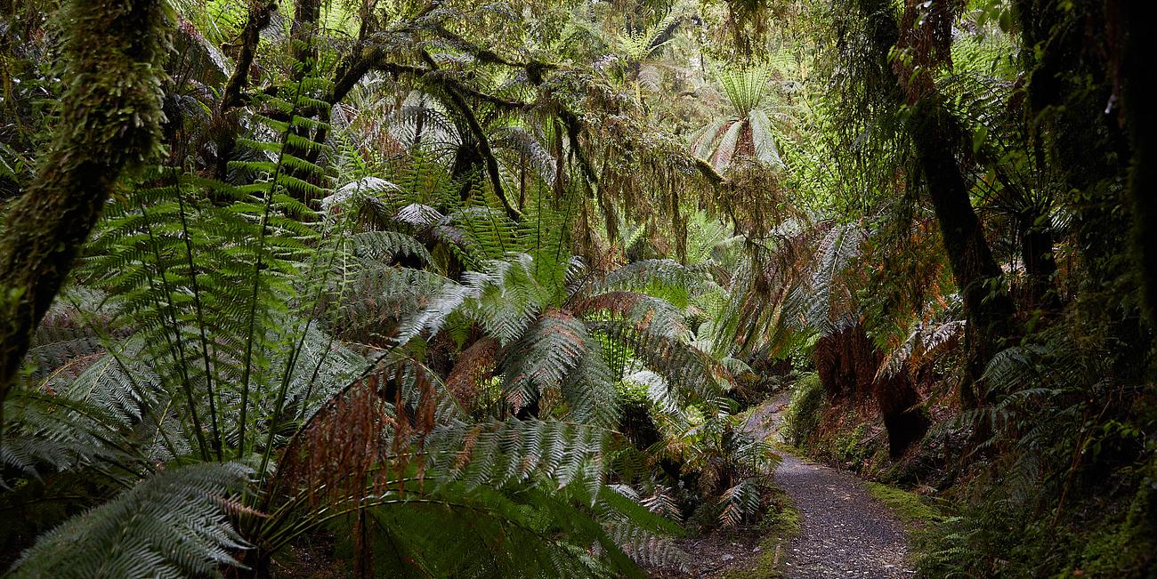 Callignee II - Eco Bush Retreat - " 100% Off Grid Escape " Grand ...