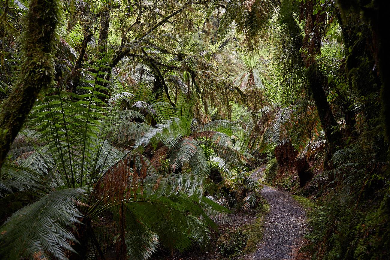 Callignee II - Eco Bush Retreat - " 100% Off Grid Escape " Grand ...