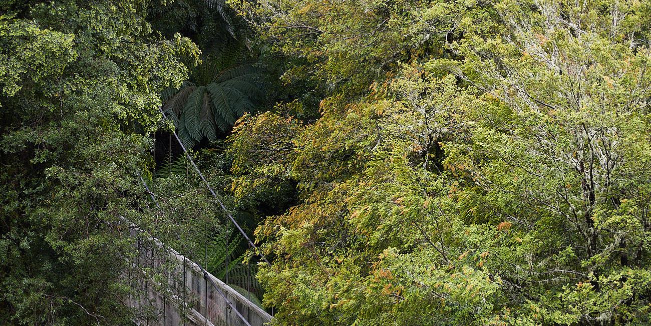 Callignee II - Eco Bush Retreat - " 100% Off Grid Escape " Grand ...