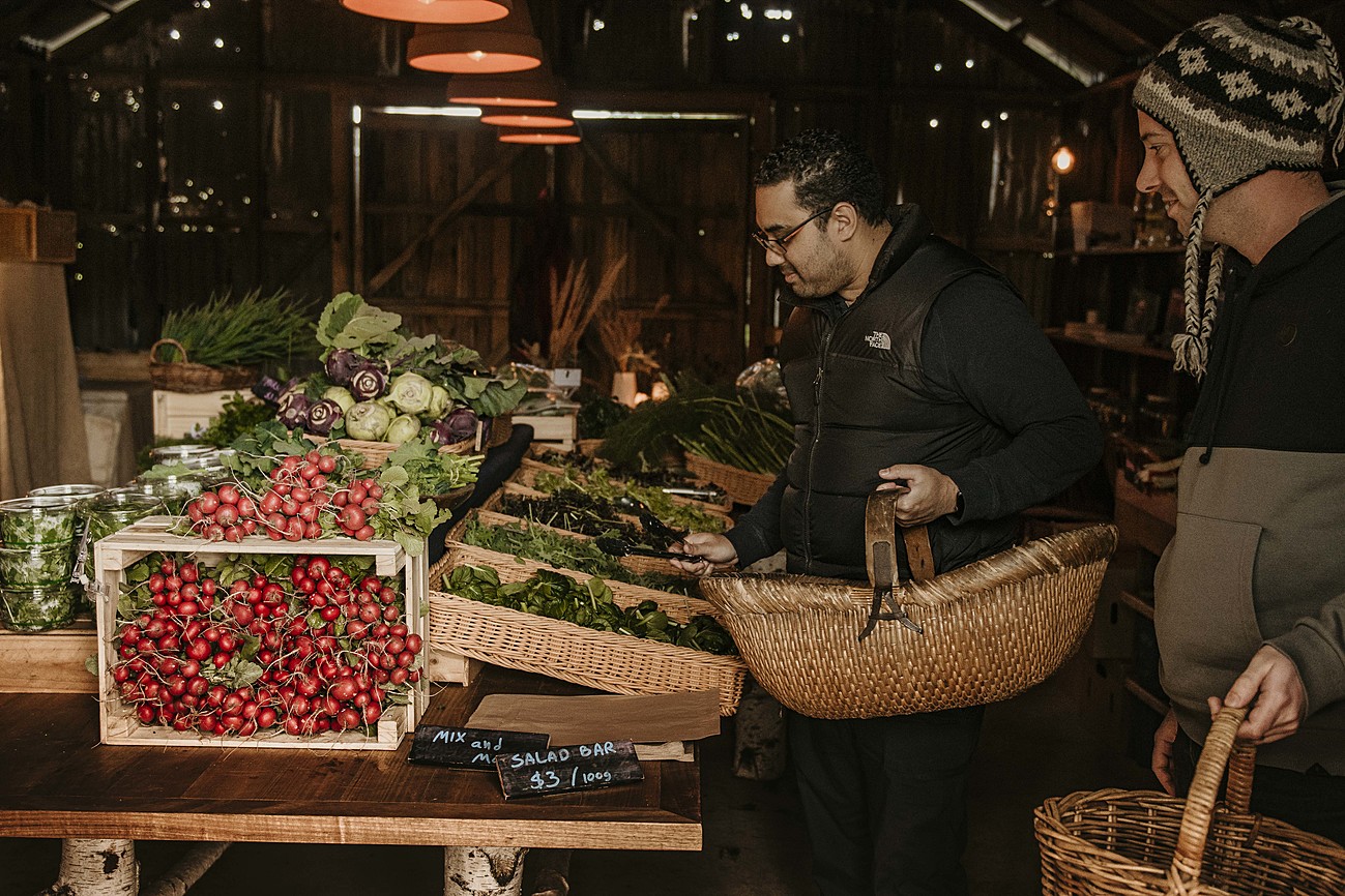 Mossy Willow Farm | Riparide