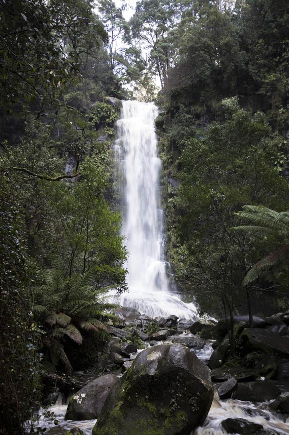 Escape to the View - Adventure by Xavier in Deans Marsh, Great Ocean ...