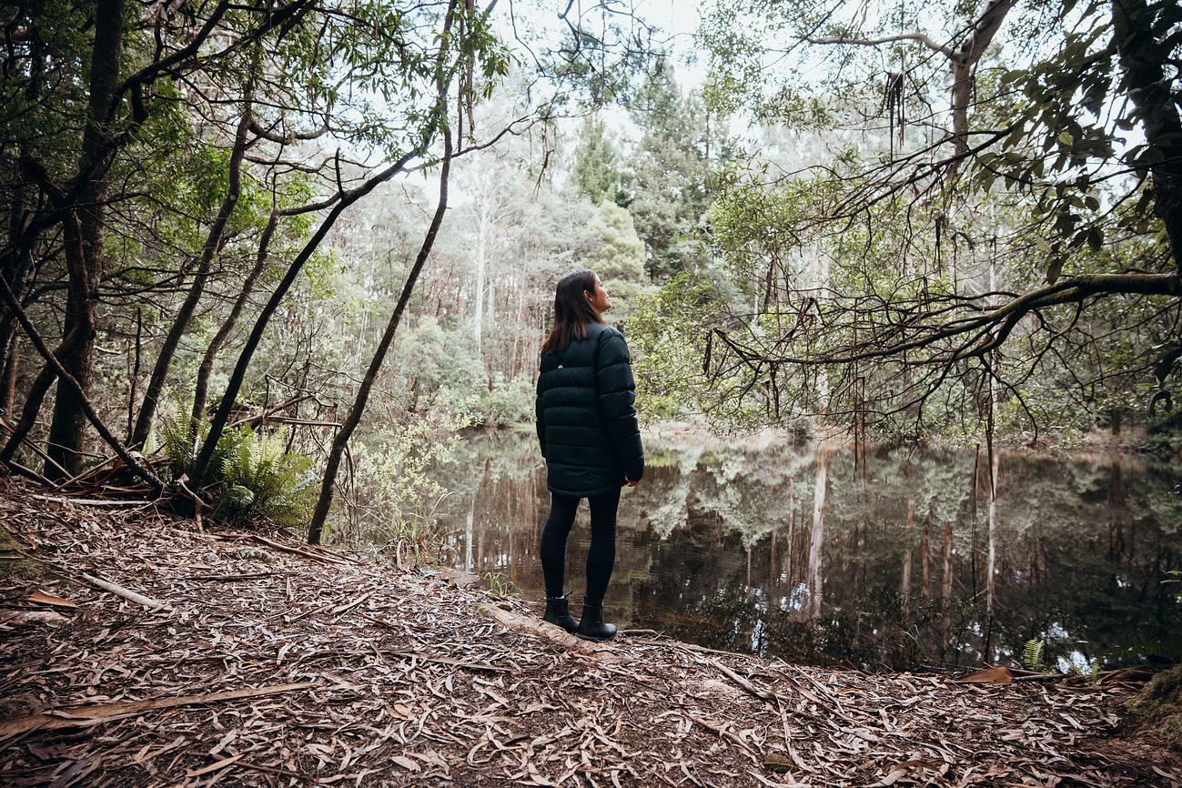 Sanatorium Lake Walk | Riparide
