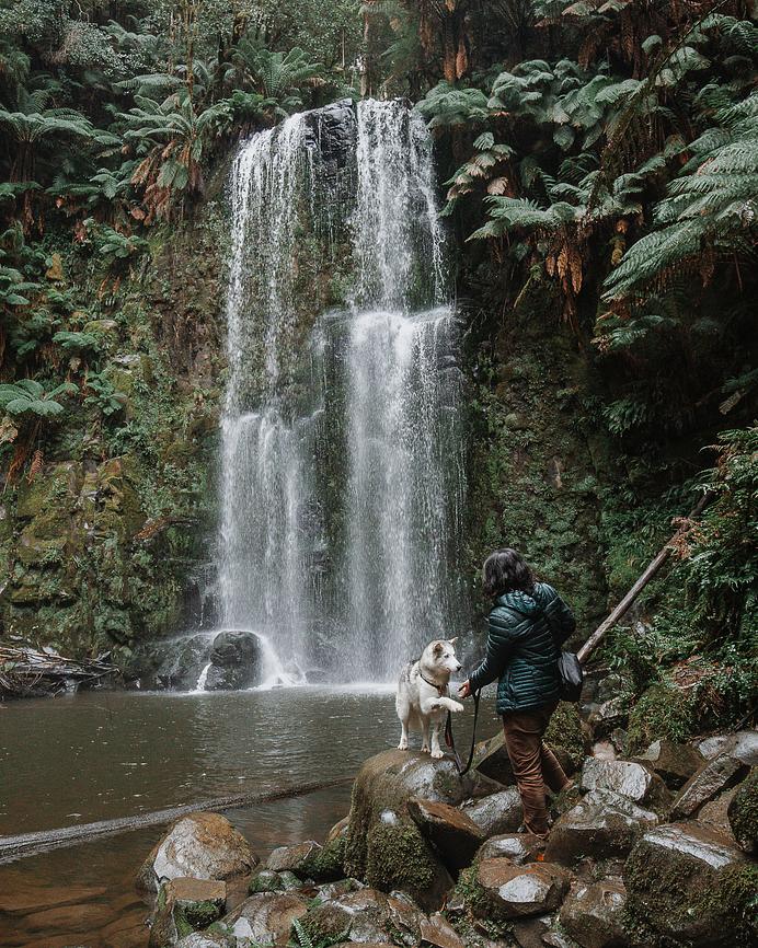 Soak in the Beauty of Beauchamp Falls | Riparide
