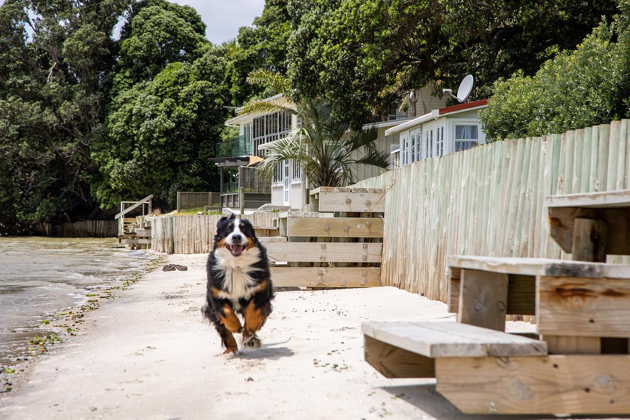 The Quintessential Kiwi Beach Escape - Adventure by Tegan in Clarks ...