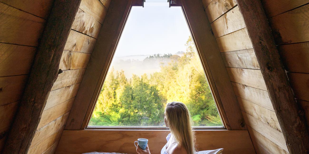The Rimu Hut - Cosy Off-grid Bush Escape - A-frame for Rent in Ararimu ...