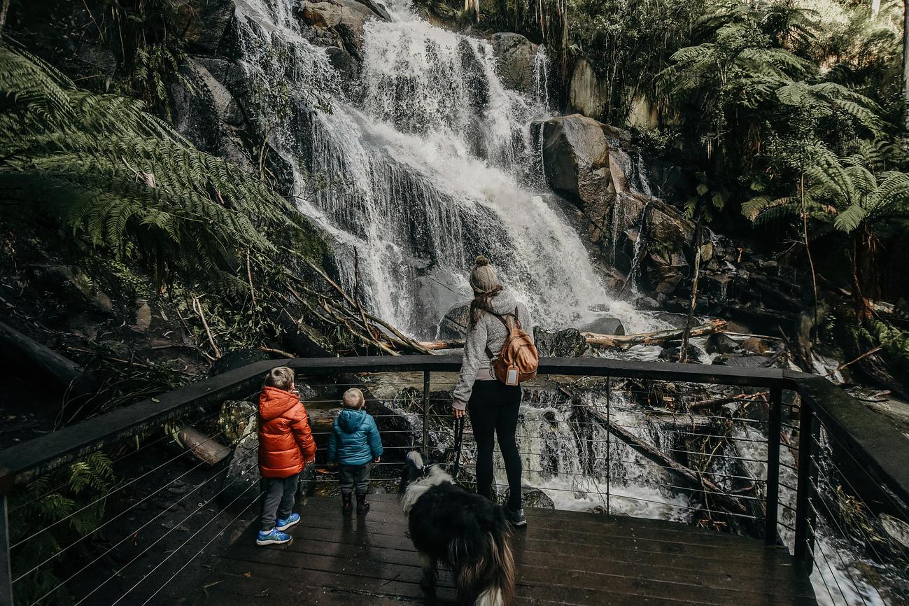 Torongo Falls | Riparide