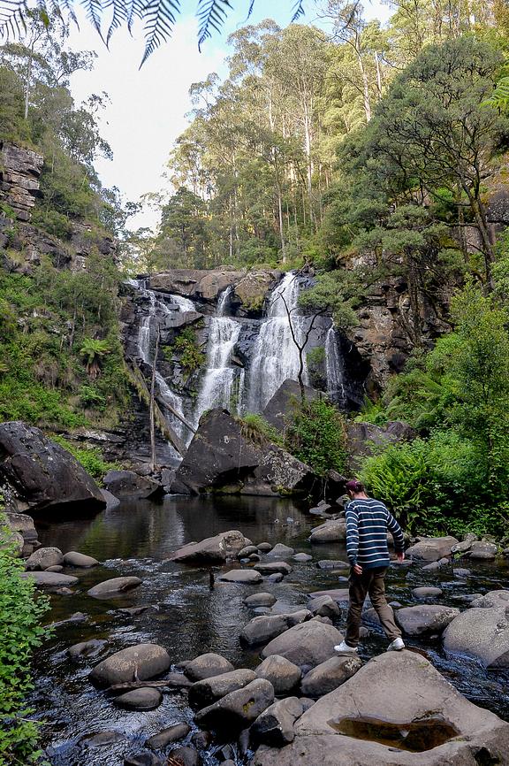 You, Me, The Forest and The Sea. - Adventure by Liam in Barramunga ...