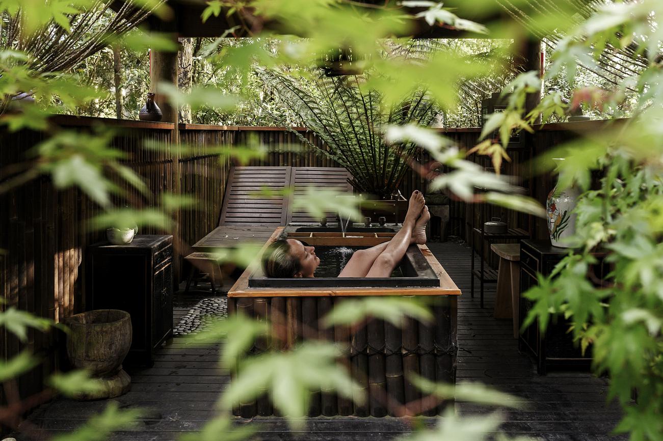 Forest Bathing | Riparide