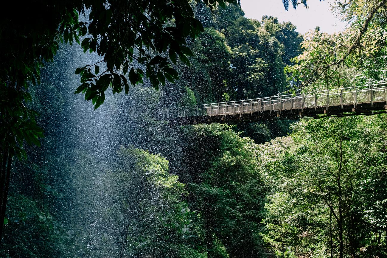 Crystal Shower Falls Walk | Riparide