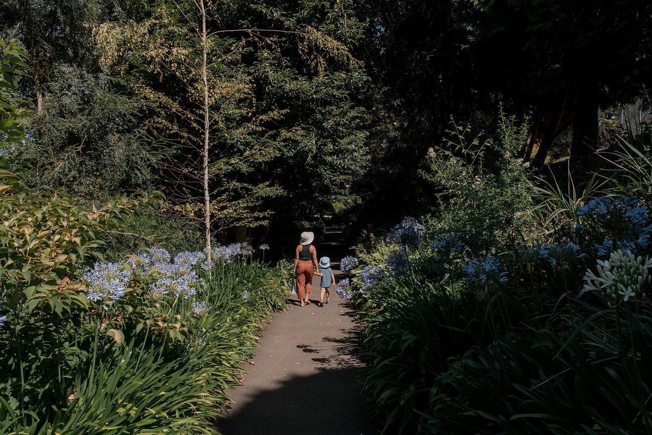 Wombat Hill Garden stroll | Riparide