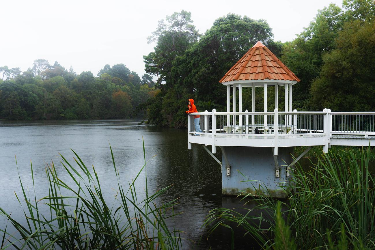 Explore Lake Virginia Reserve | Riparide