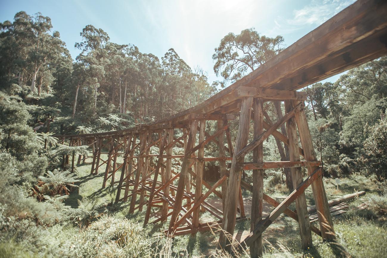 Monbulk Creek Trestle Bridge | Riparide