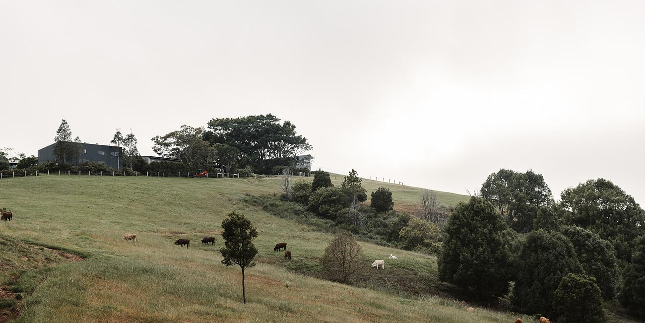 Coopers Cabin - A Tiny Home in Byron Bay - Tiny house for Rent in ...