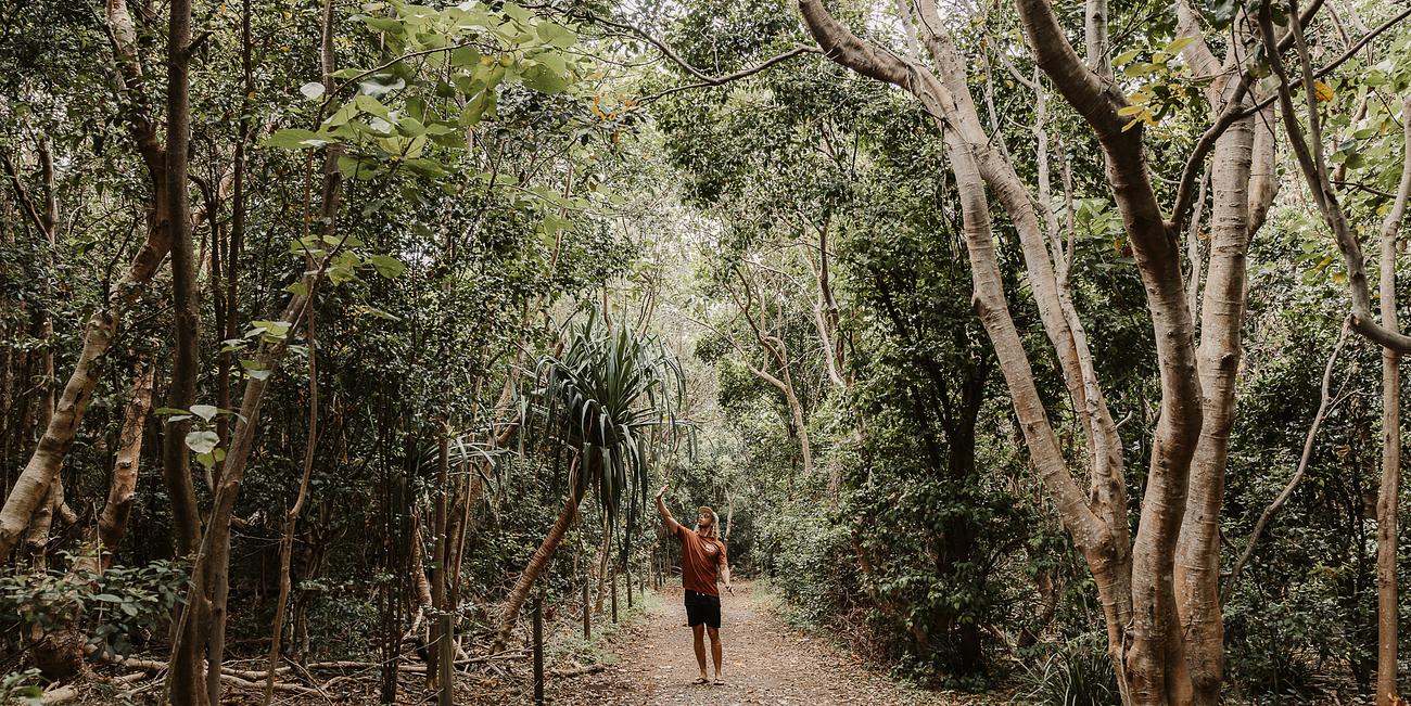 Coopers Cabin - A Tiny Home in Byron Bay - Tiny house for Rent in ...