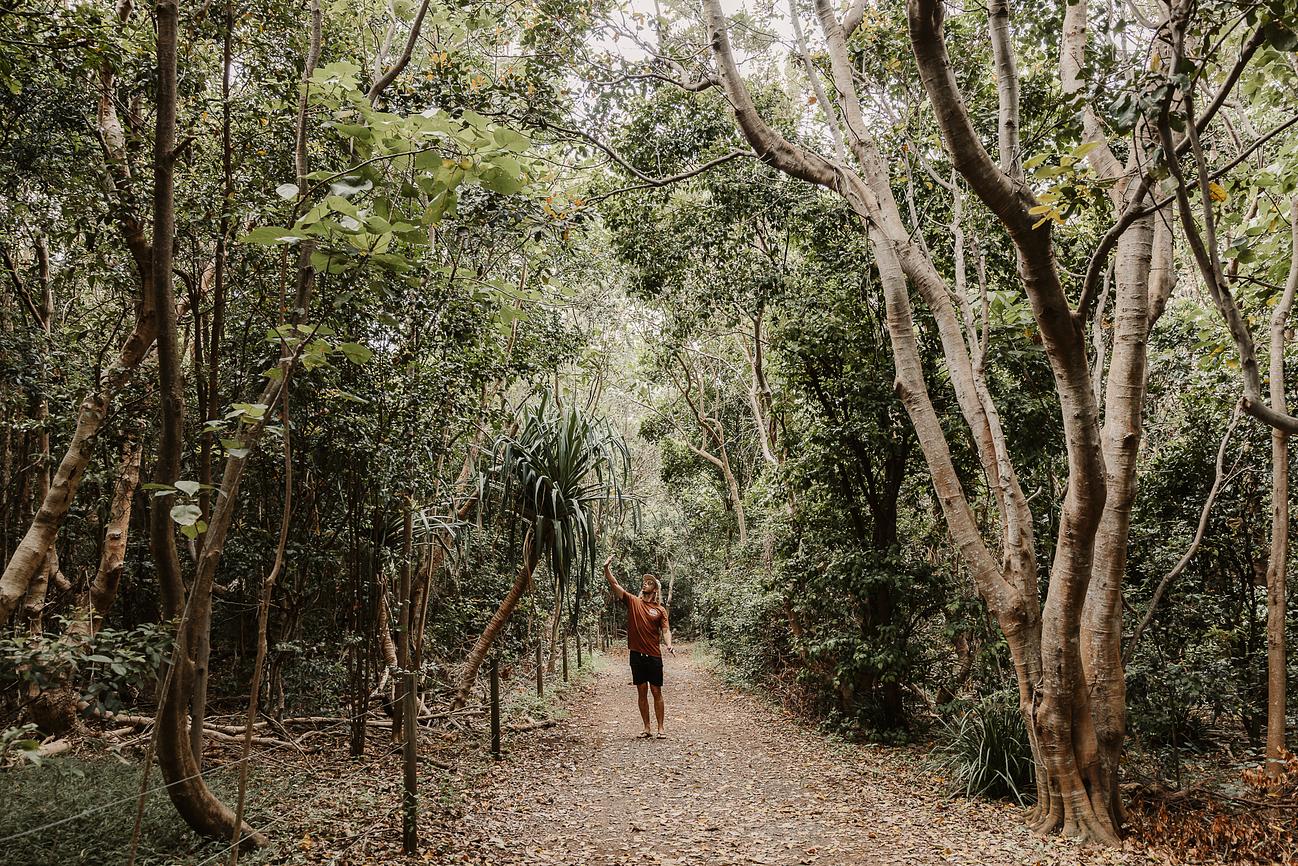 Coopers Cabin - A Tiny Home in Byron Bay - Tiny house for Rent in Coopers Shoot, North Coast ...