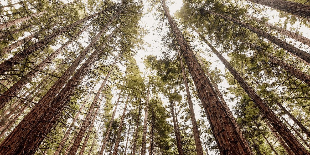 Hot Spring Hideaway - Adventure by Saskia in Warburton, Yarra Valley, VIC, AU | Riparide