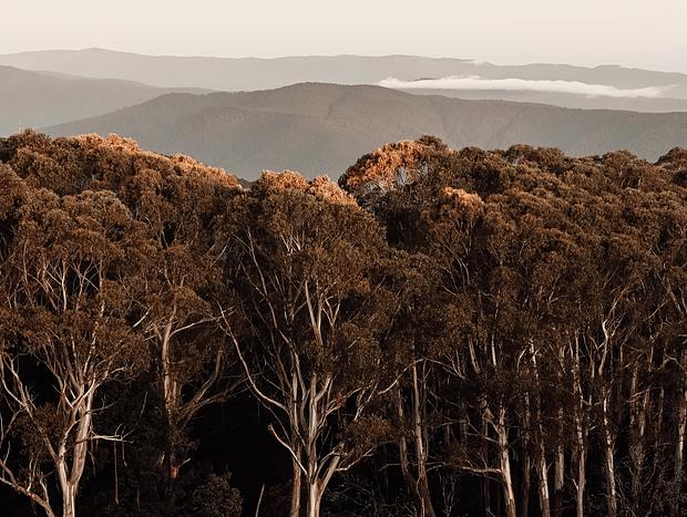 Hot Spring Hideaway - Adventure by Saskia in Warburton, Yarra Valley, VIC, AU | Riparide
