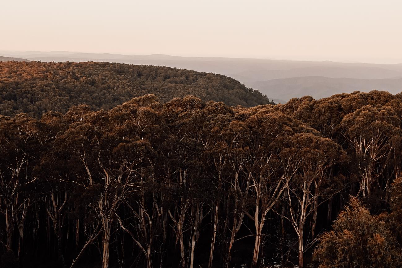 Hot Spring Hideaway - Adventure by Saskia in Warburton, Yarra Valley, VIC, AU | Riparide