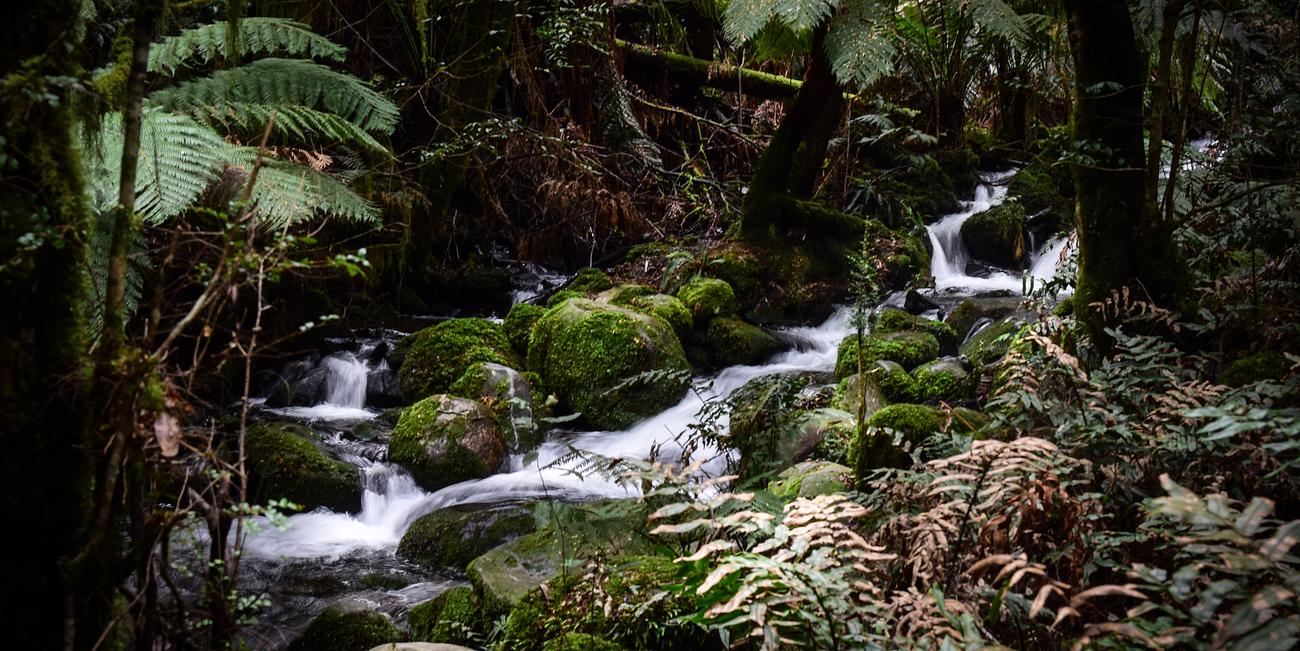 Hot Spring Hideaway - Adventure by Saskia in Warburton, Yarra Valley, VIC, AU | Riparide