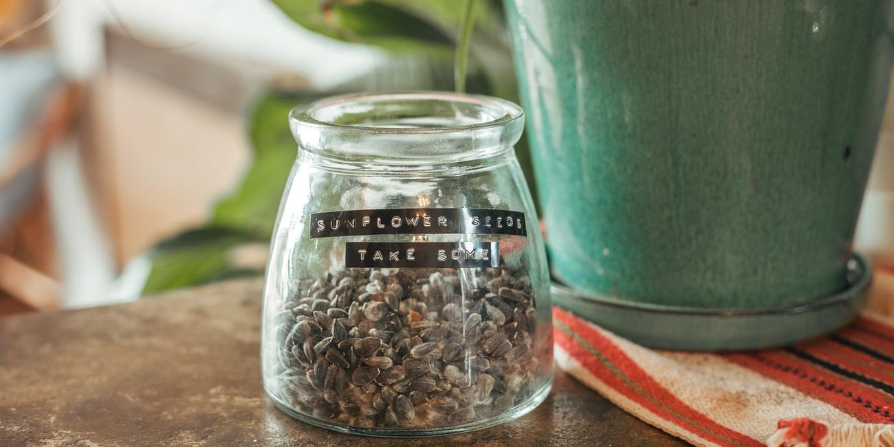 Magical A-frame home with sauna - A-frame for Rent in Clifton Springs, Bellarine Peninsula, VIC ...