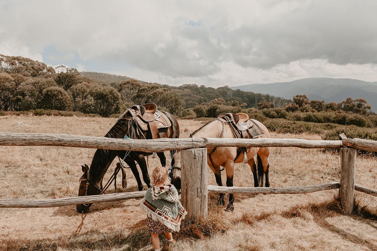 High Country, Huts & Horses - Adventure by Saskia in Boorolite, High ...