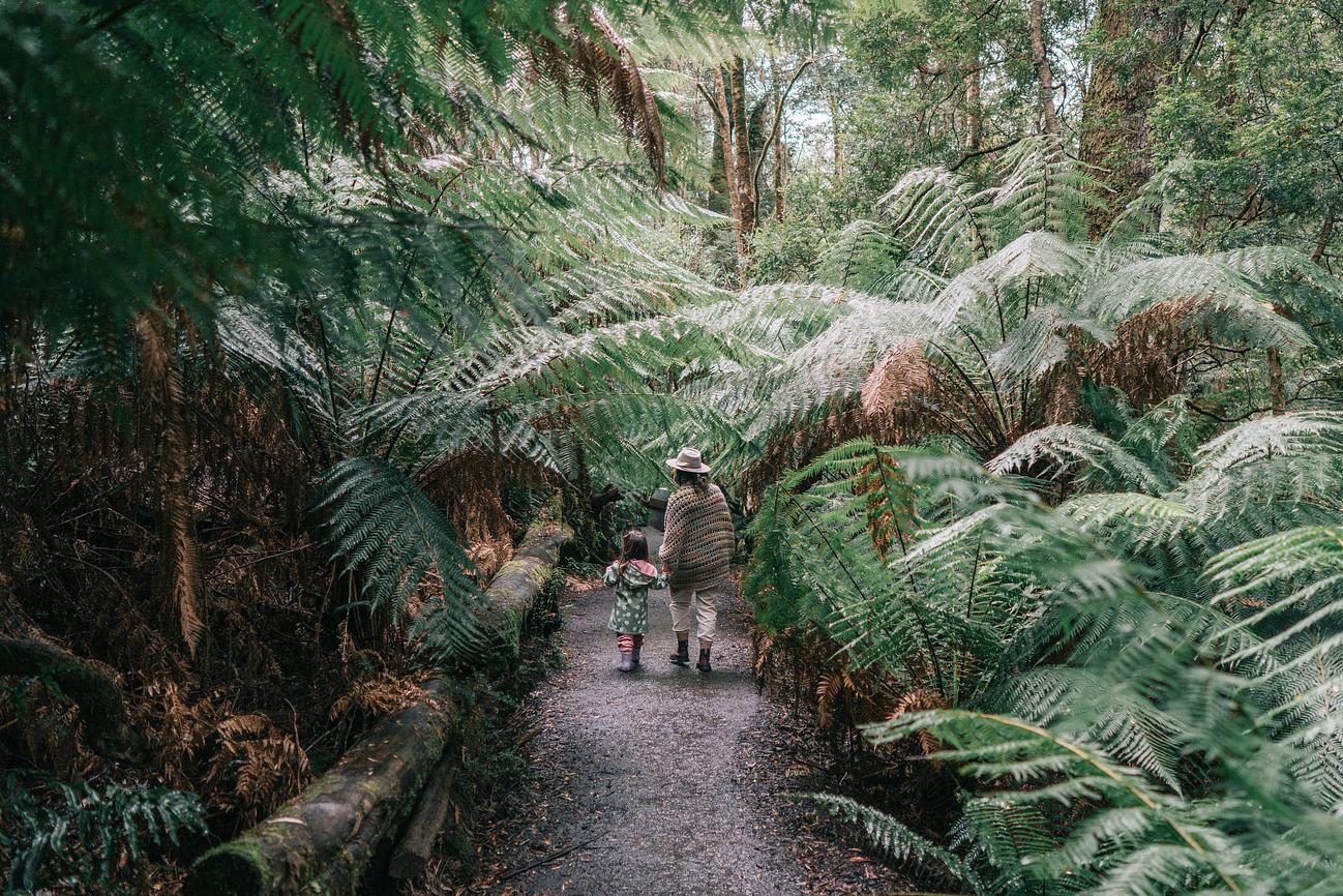 Maits Rest | Riparide