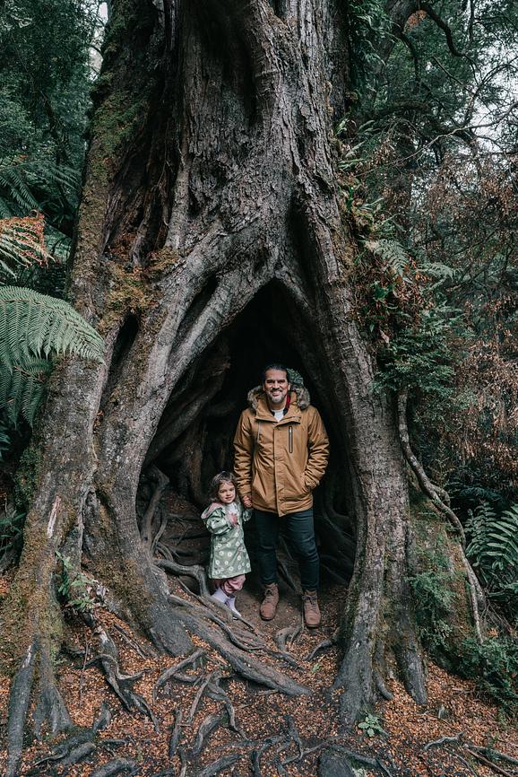 Rainforest Dream - Adventure by Fabio in Glenaire, Great Ocean Road, VIC, AU | Riparide