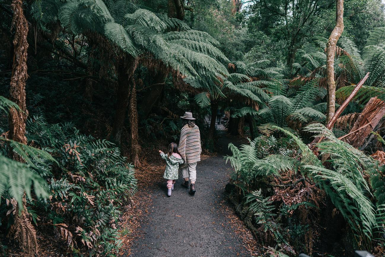 Rainforest Dream - Adventure by Fabio in Glenaire, Great Ocean Road, VIC, AU | Riparide