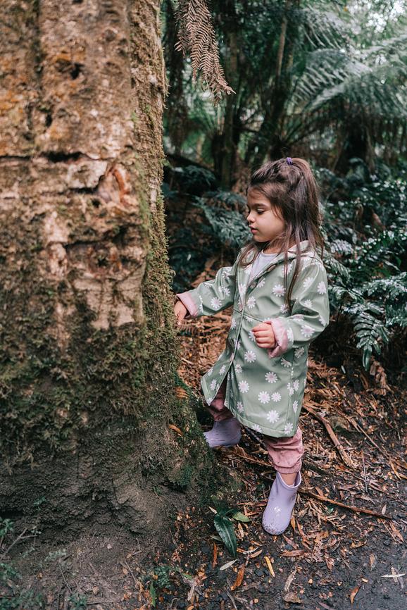 Rainforest Dream - Adventure by Fabio in Glenaire, Great Ocean Road, VIC, AU | Riparide