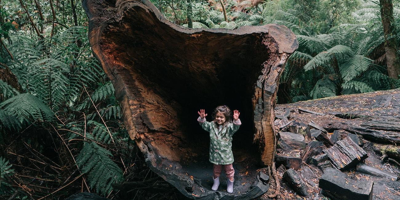 Rainforest Dream - Adventure by Fabio in Glenaire, Great Ocean Road, VIC, AU | Riparide