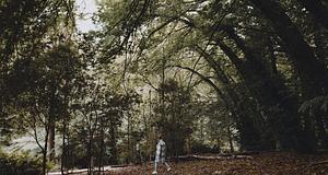 Soulfulness in the Vines - Adventure by Cameron in Yellingbo, Yarra ...