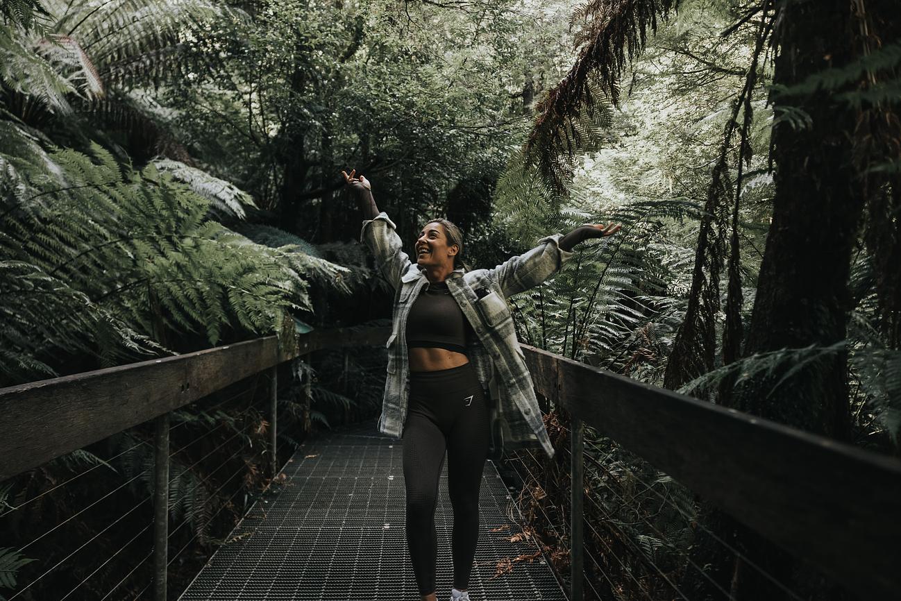 Rainforest Gallery | Riparide